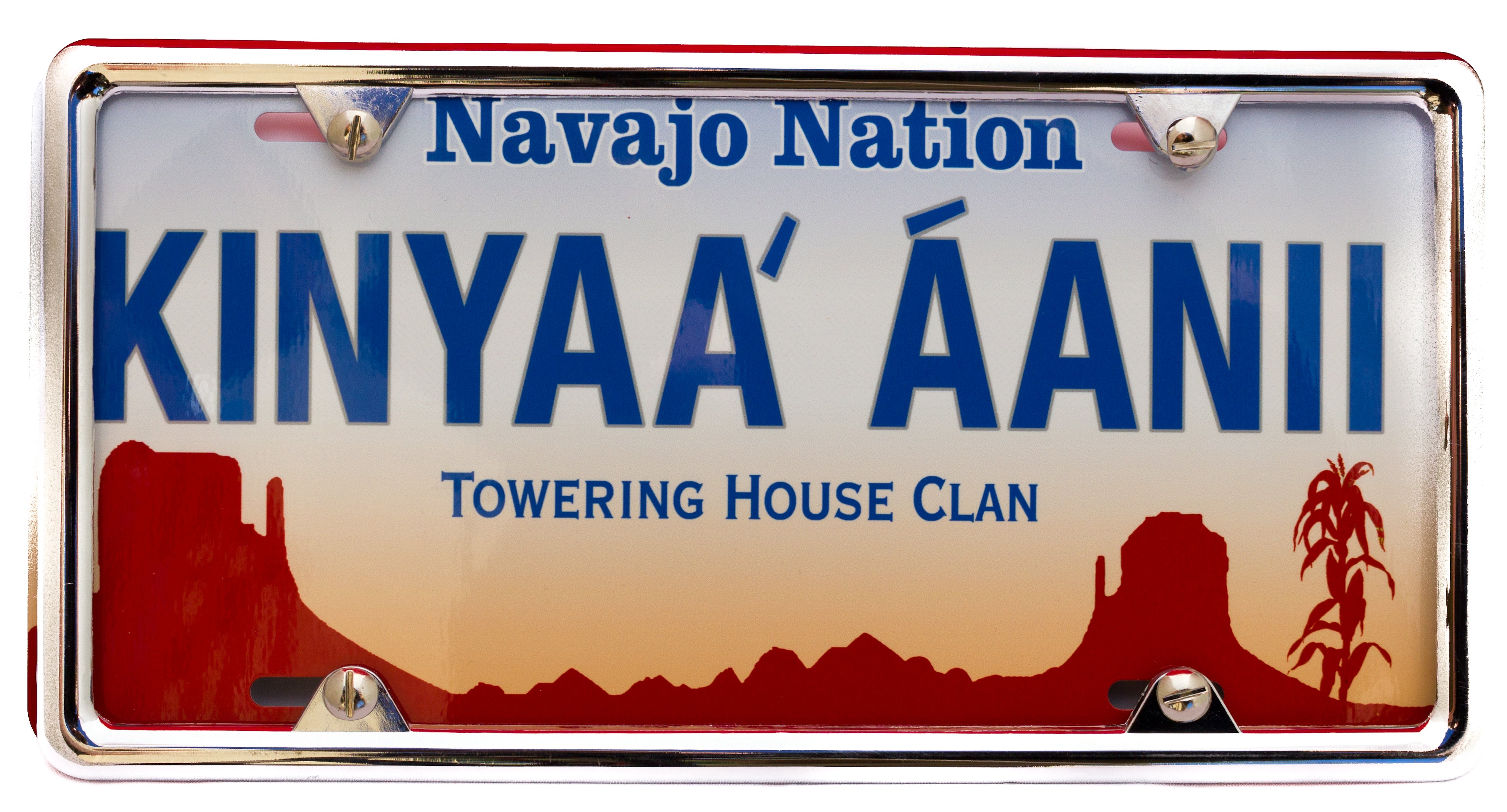 Navajo Kinyaa’ áanii – Towering House License Plate – Navajo Store
